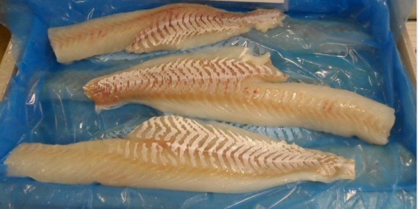 TradexLIVE - a Seafood Offers Portal for Seafood Buyers and Suppliers...