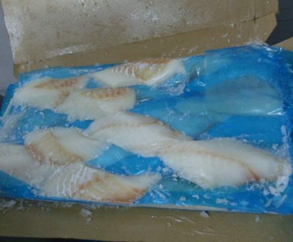 TradexLIVE - a Seafood Offers Portal for Seafood Buyers and Suppliers...