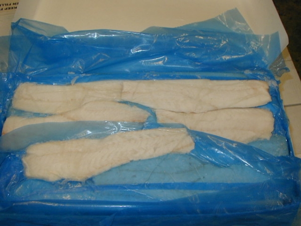 TradexLIVE - a Seafood Offers Portal for Seafood Buyers and Suppliers...