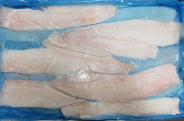 TradexLIVE - a Seafood Offers Portal for Seafood Buyers and Suppliers...