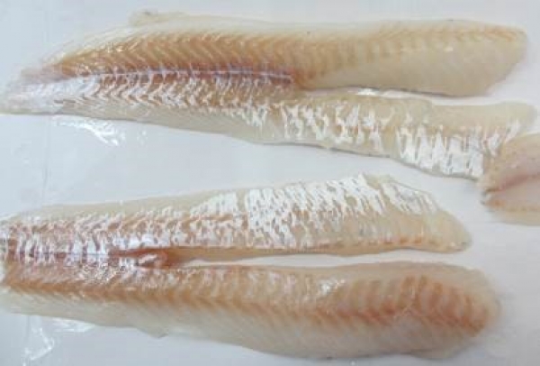 TradexLIVE - a Seafood Offers Portal for Seafood Buyers and Suppliers...