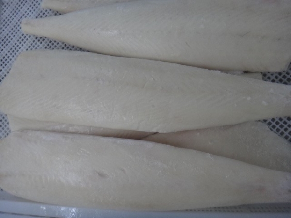 TradexLIVE - a Seafood Offers Portal for Seafood Buyers and Suppliers...