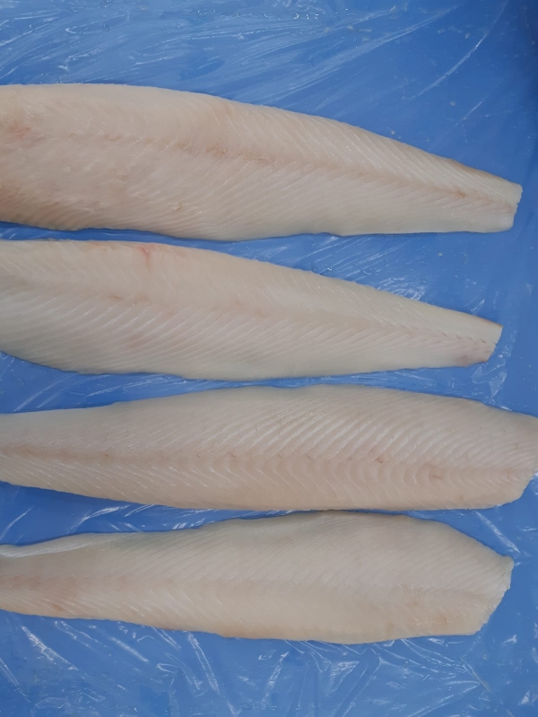 TradexLIVE - a Seafood Offers Portal for Seafood Buyers and Suppliers...